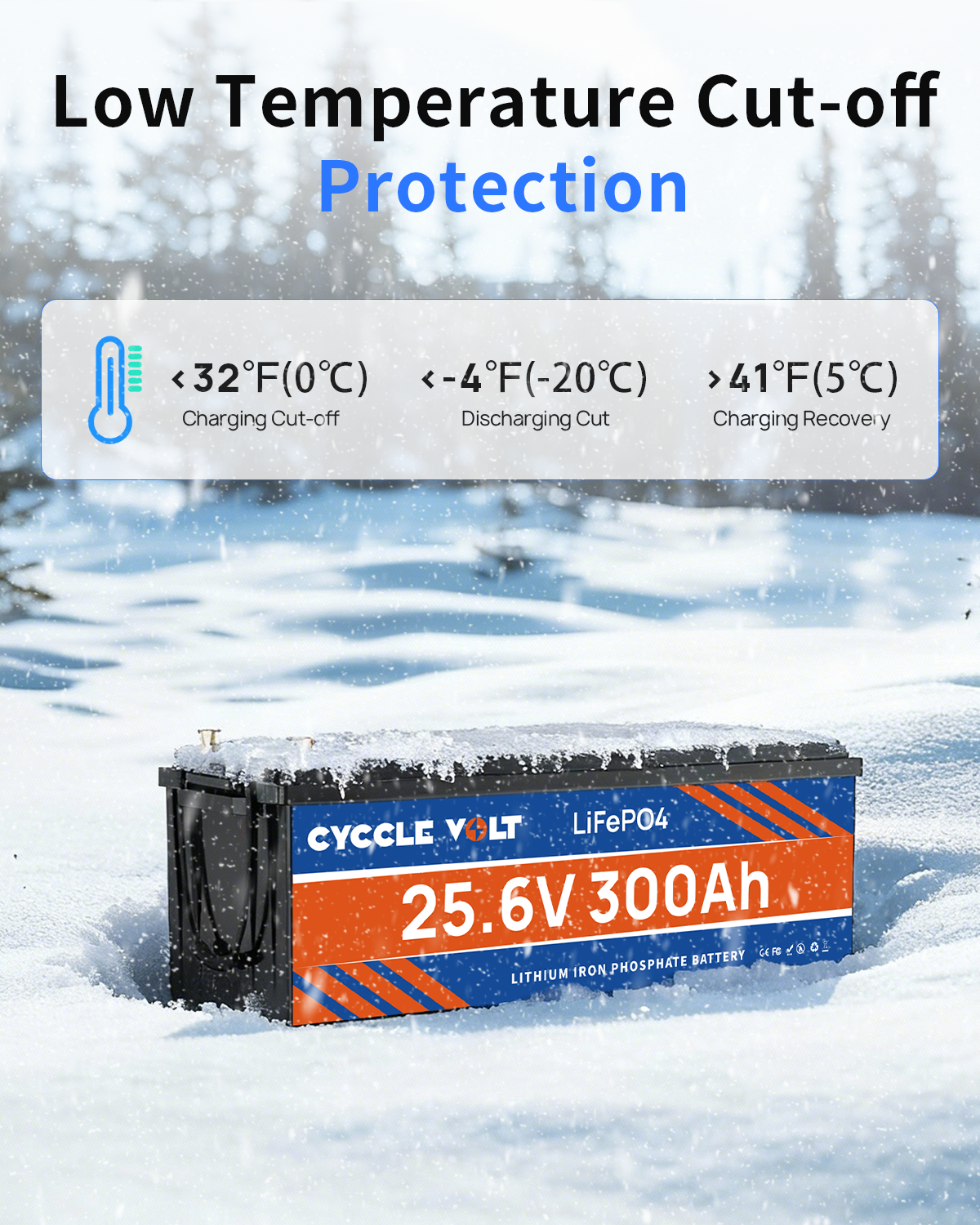 LiFePO4 24V 300Ah Lithium Battery 200A BMS Deep Cycle for RV Solar Boat ...